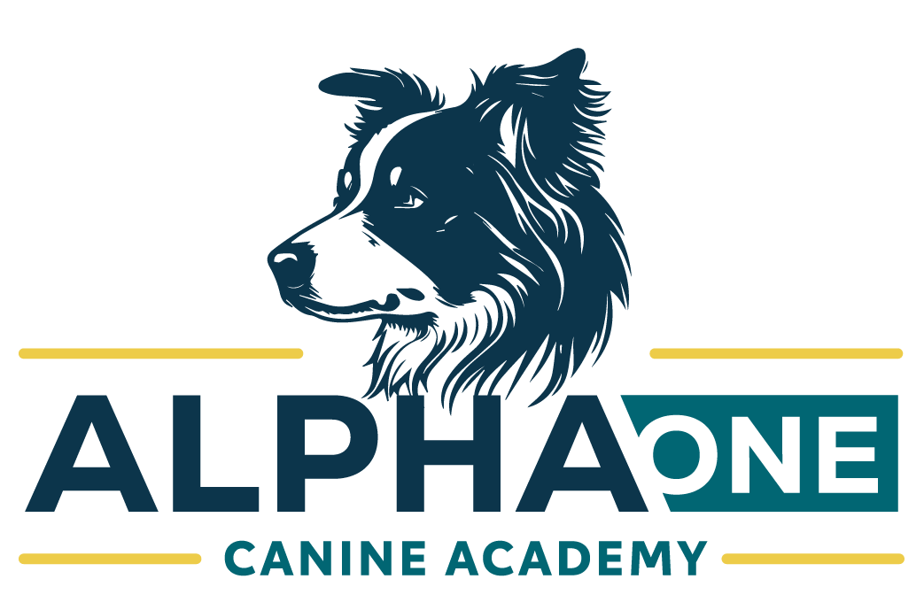 Obedience Training - alphaonecanineacademy.net